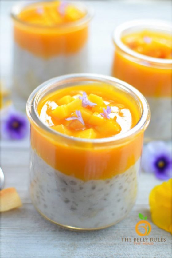 Plant-Based Christmas Recipe Roundup - Plant-Based Cooking